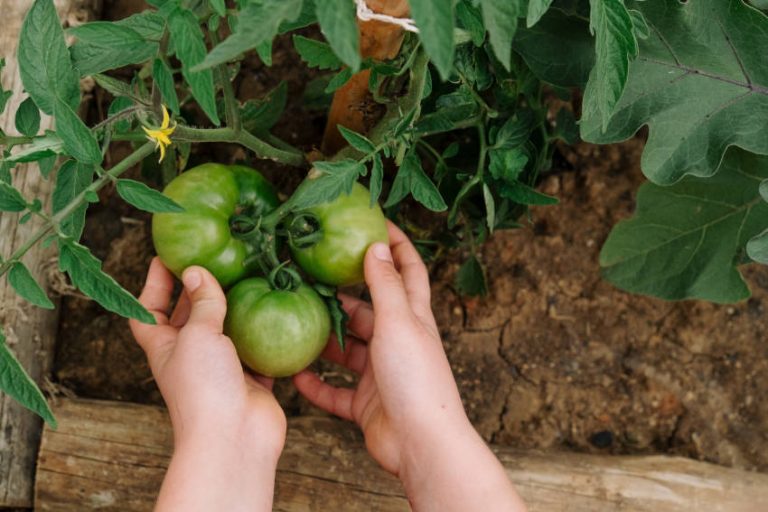 18 Coucal Crescent - Springvale Country Estate